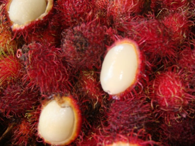 Tropical Fruit in Southern Costa Rica - YouGetHere.com