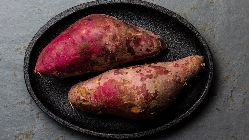 Thankful to be Vacationing in Costa Rica - Welcome to YouGetHere