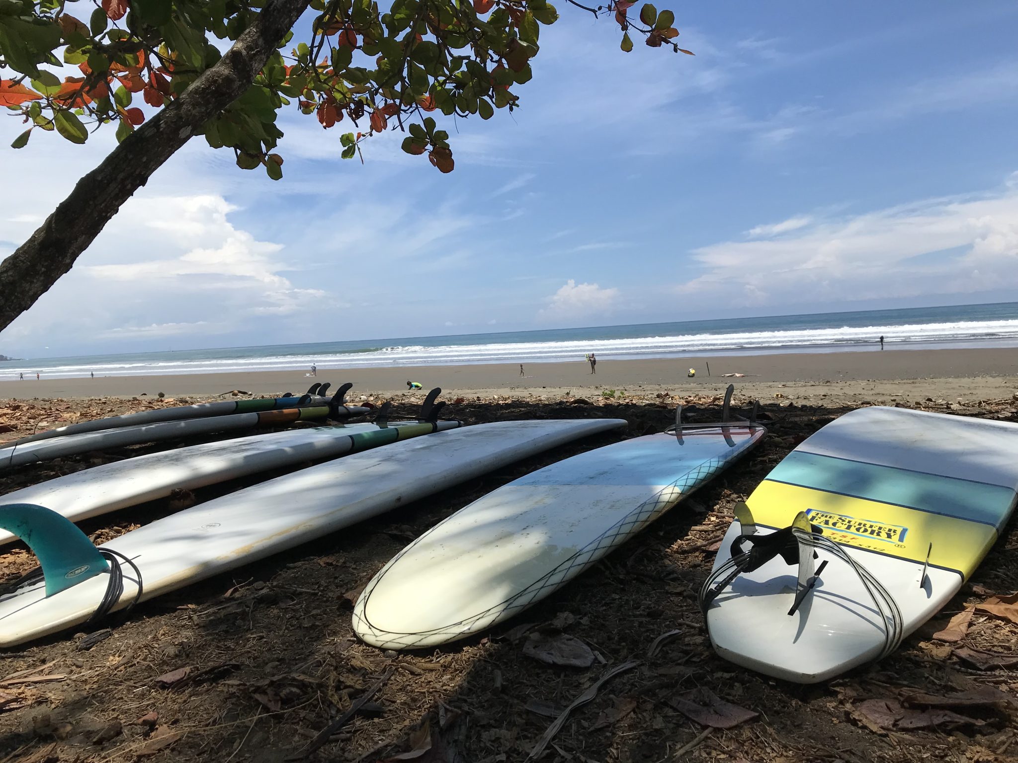 Costa Rica Southern Zone Beach Guide - Welcome to YouGetHere